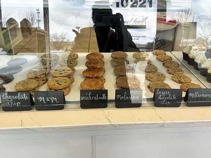 St. Patrick's Day never looked so delicious &ndash; these shamrock cookies sparkle with more charm than a leprechaun's hidden treasure.