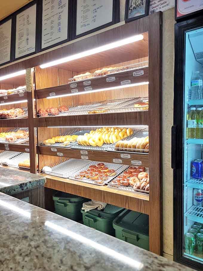 Wooden shelves lined with chocolate treasures against rustic teal paneling create the perfect backdrop for Marie's signature confections &ndash; nostalgia you can actually taste.