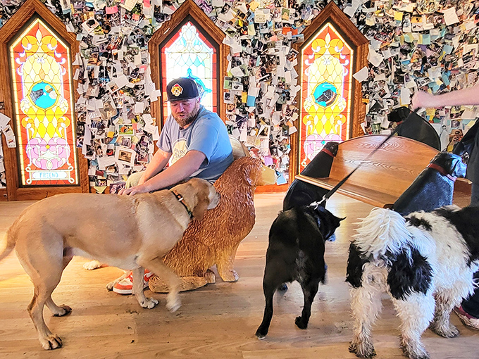 Furry visitors seem to understand the chapel's significance, exploring the space with curious noses and respectful paws.