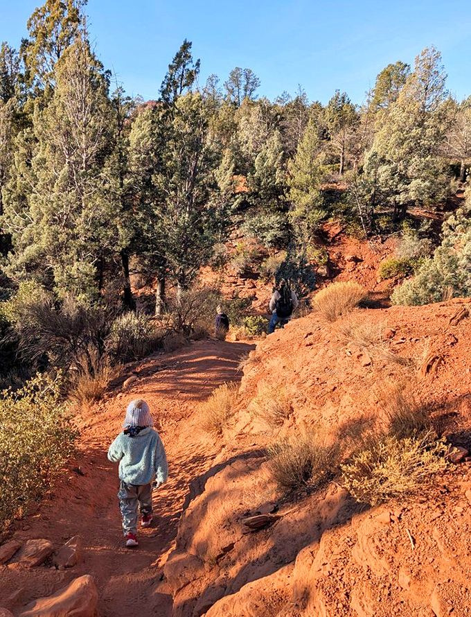The rust-colored trail winds through desert vegetation, a ribbon of adventure leading hikers deeper into Sedona's geological wonderland.