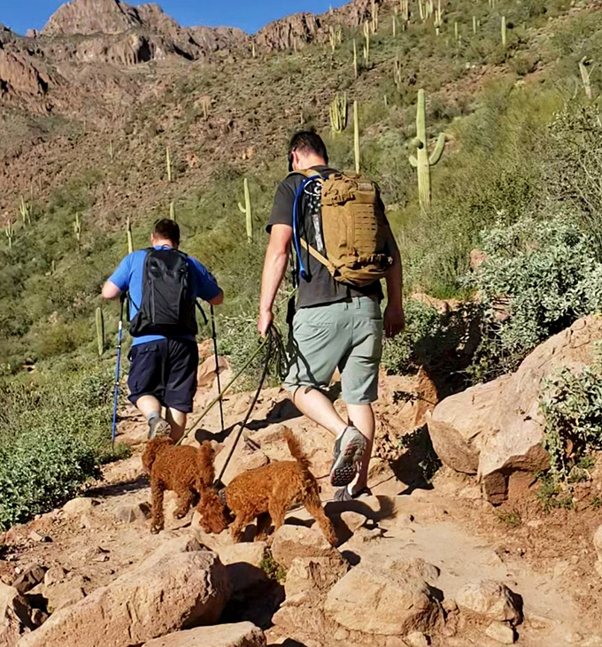Four-legged hiking companions make the best trail guides&mdash;they never complain about the incline and always find the most interesting scents.