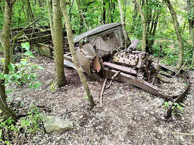 Mechanical dinosaur: This rusted chassis rests where it was abandoned decades ago, now serving as an impromptu sculpture garden.
