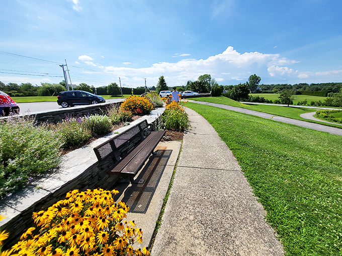 Another angle reveals more of the park's thoughtful design &ndash; where every bench and pathway seems positioned for maximum "wow" factor.
