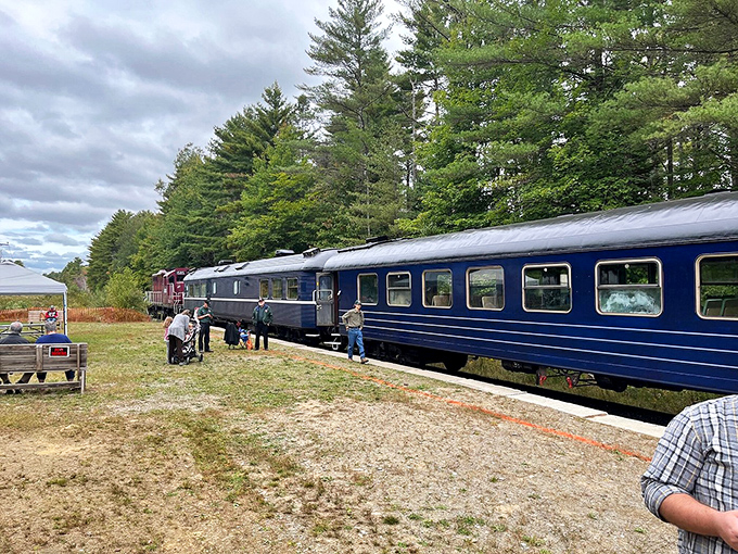 All aboard! The blue passenger cars stand ready to transport travelers not just across distance, but back to a more gracious era of travel.