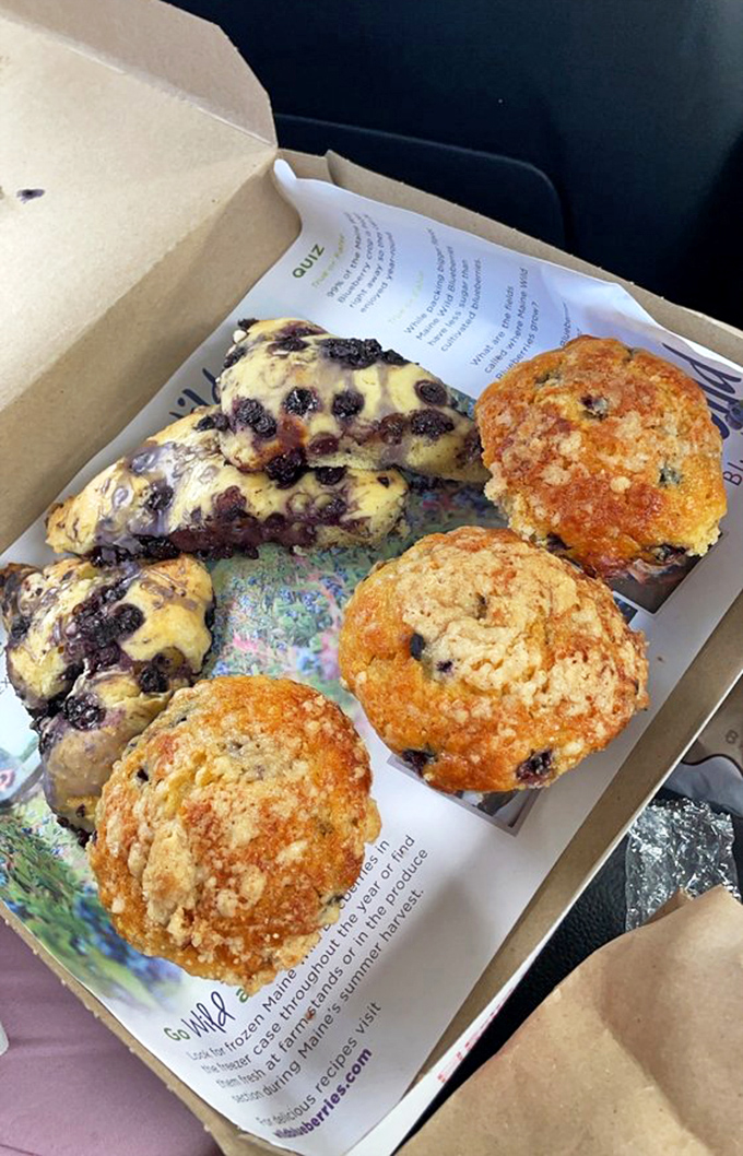 Blueberry scones and pastries showcase the versatility of Maine's favorite fruit in various baked goods.