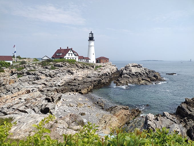 Wild roses frame this postcard-perfect view, adding splashes of vibrant color to the classic New England maritime landscape.