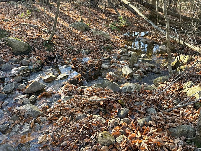 Nature's creek crossing puzzle: step on the wrong rock and you'll discover why they call it "Lye Brook" and not "Dry Feet Brook."