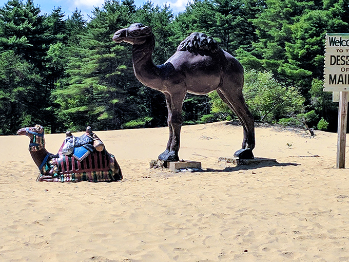 These majestic camel sculptures stand guard over the dunes, looking surprisingly at home despite being thousands of miles from their natural habitat.