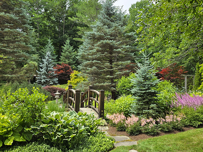 The small bridge beckons you across, promising that whatever's on the other side is worth the three-second journey.