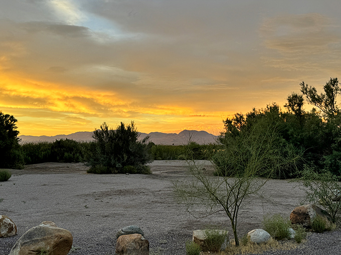Mother Nature showing off at sunset, painting the sky in impossible colors that make you wonder if you've accidentally wandered onto a movie set.