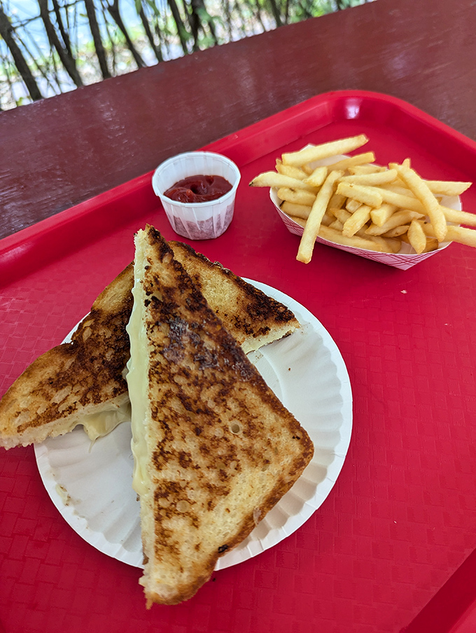 This grilled cheese isn't just comfort food &ndash; it's a golden-brown hug on a plate, with melty cheese pulling apart in that satisfying way.
