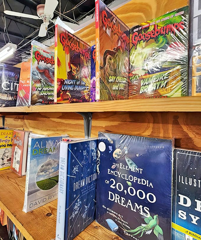 Goosebumps books stand at attention, ready to give a new generation the same delightful chills their parents experienced.