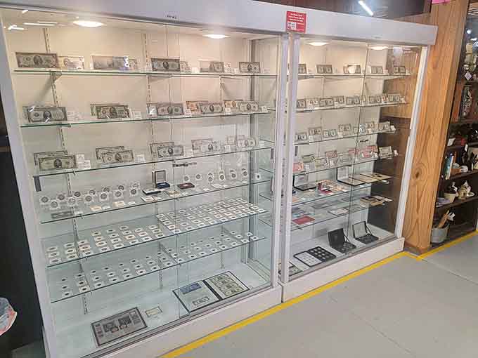 From Civil War tokens to silver dollars, the currency collection tells America's story through the changing faces of its money.