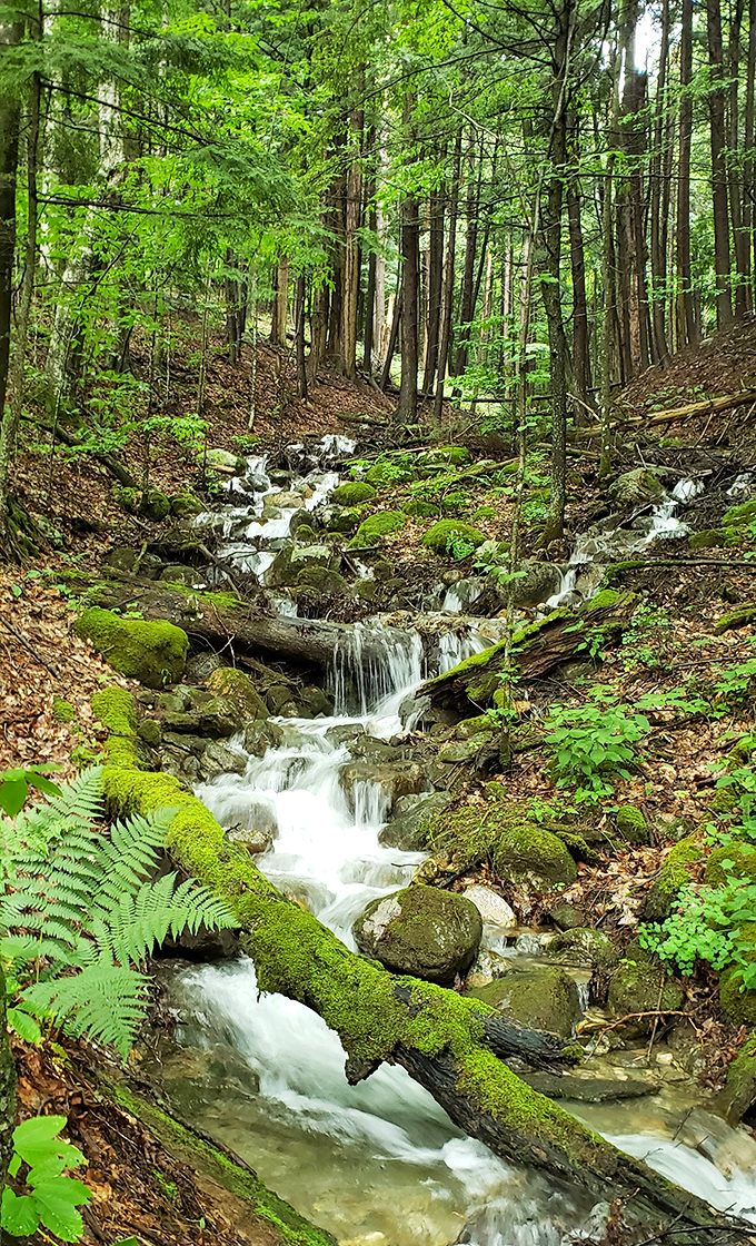 Nature's water that flows like they were designed by someone who understood that the journey matters more than the destination.