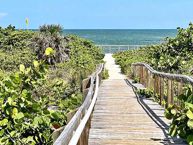 A wooden boardwalk winds through coastal vegetation, offering a journey through Florida's natural beauty without getting sand in your shoes.