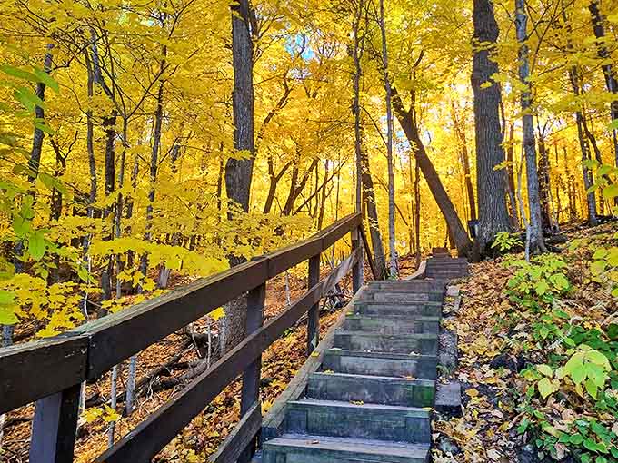 These wooden stairs lead through a golden tunnel of autumn foliage &ndash; like walking through nature's version of a fancy hotel lobby.