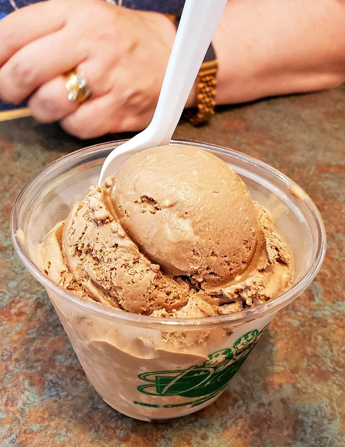 German chocolate ice cream that would make Berlin jealous &ndash; coconut, chocolate, and pecans performing a harmonious flavor waltz in every spoonful.
