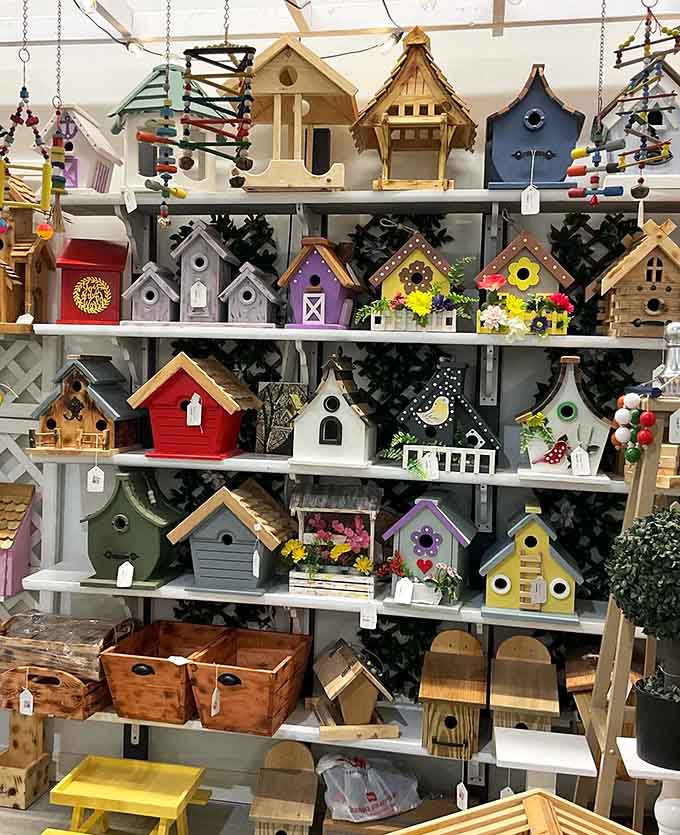 Birdhouses in every color and style imaginable, because even our feathered friends deserve architectural variety and whimsy.