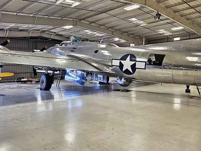 This bomber's polished aluminum skin reflects decades of careful restoration and countless hours of volunteer dedication and love.