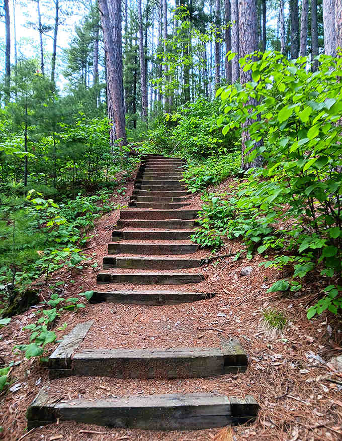 Stairway to heaven? These rustic wooden steps invite hikers upward through a green cathedral of Minnesota's finest foliage.