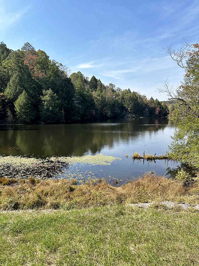 Lake Katharine's pristine waters reflect the surrounding forest like nature's own Instagram filter. No photoshop needed here!