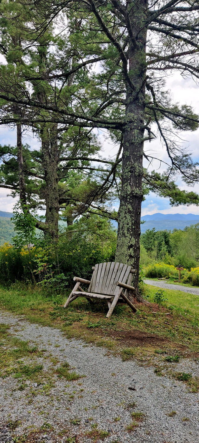 The philosopher's bench &ndash; positioned perfectly beneath towering pines where one can ponder life's questions with mountain-fresh clarity.
