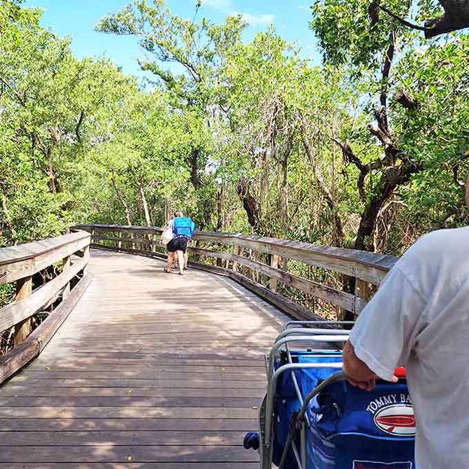 Fellow explorers make their way along the sun-dappled boardwalk, each on their own journey to discover what lies beyond.