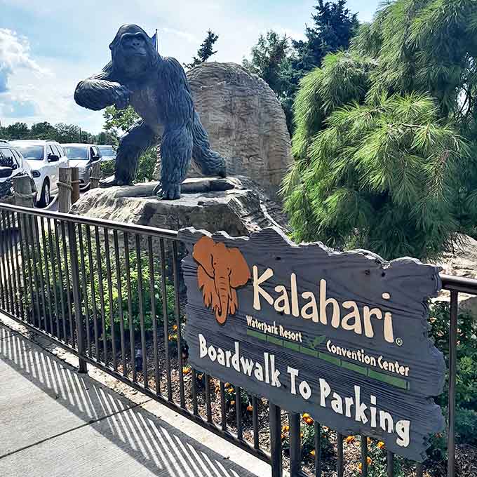The boardwalk to parking features this impressive gorilla statue &ndash; clearly someone who also enjoyed too many poolside snacks.