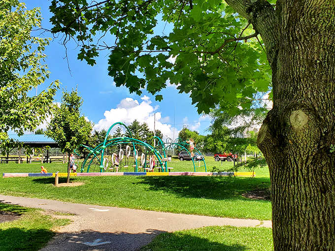 Cambridge's city parks provide perfect green spaces for picnics, play, and peaceful moments away from the hustle of everyday life.