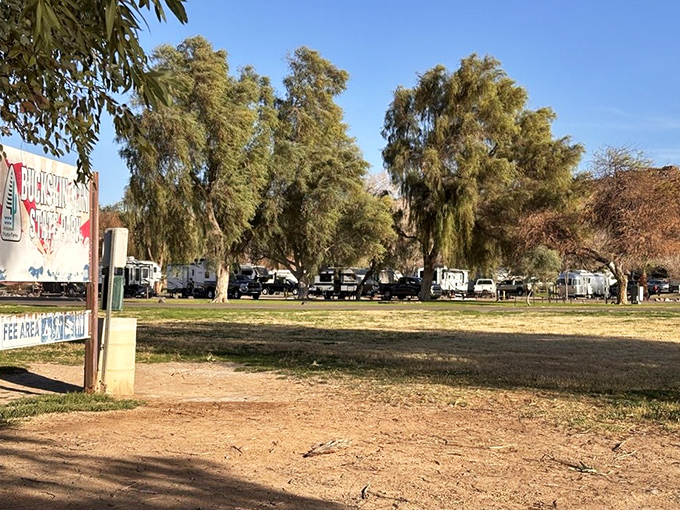 Shady trees transform the campground into an oasis, proving that Mother Nature occasionally shows mercy to desert dwellers seeking respite.