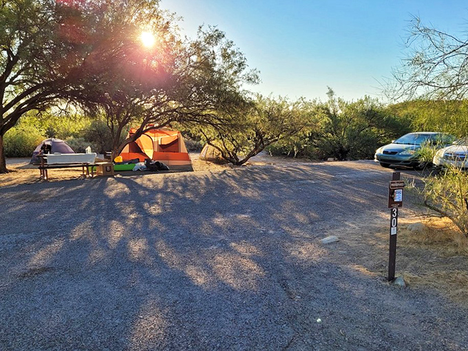 Campers have staked their colorful claim in this peaceful desert setting, where vehicle convenience meets wilderness experience under Arizona's vast skies.