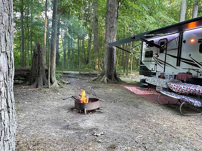 Camping nirvana: Where s'mores become gourmet cuisine and stargazing replaces Netflix as the evening's premium entertainment.