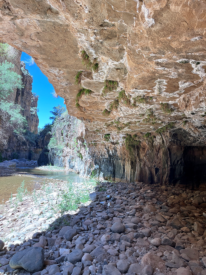 Looking out from the cool shelter of a natural cave, where the contrast between shadow and sunlight creates a frame for the canyon beyond.