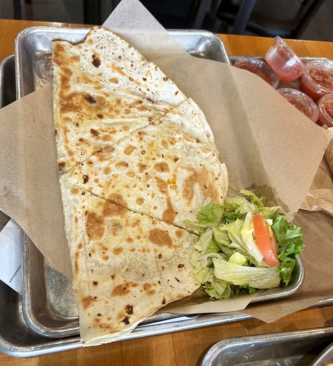 The humble quesadilla elevated to art form &ndash; golden-brown exterior giving way to a molten cheese interior that stretches dramatically with each bite.