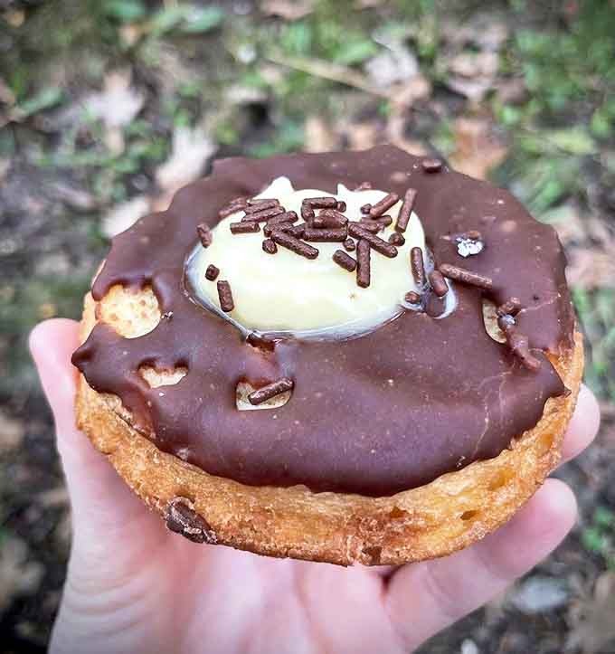 Chocolate Donut: Chocolate perfection that puts ordinary donuts to shame. The glossy ganache coating hides a pillowy interior that practically melts on contact.