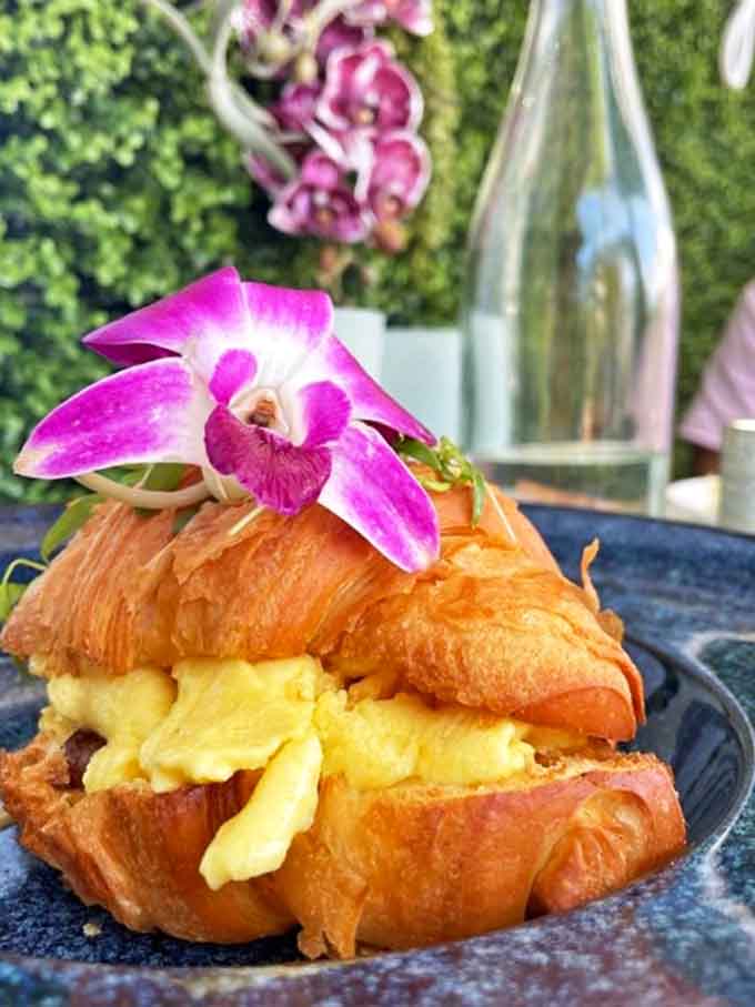 Breakfast architecture: a croissant sandwich that combines buttery pastry with savory fillings, creating the morning equivalent of a standing ovation.
