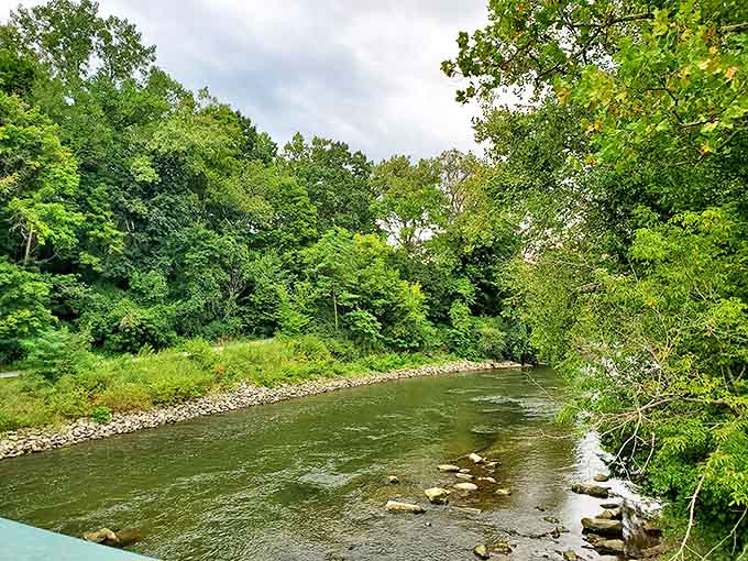 The Cuyahoga River, once infamous for pollution, now flows clear and vibrant. Nature's comeback story runs parallel to the train's historic route.