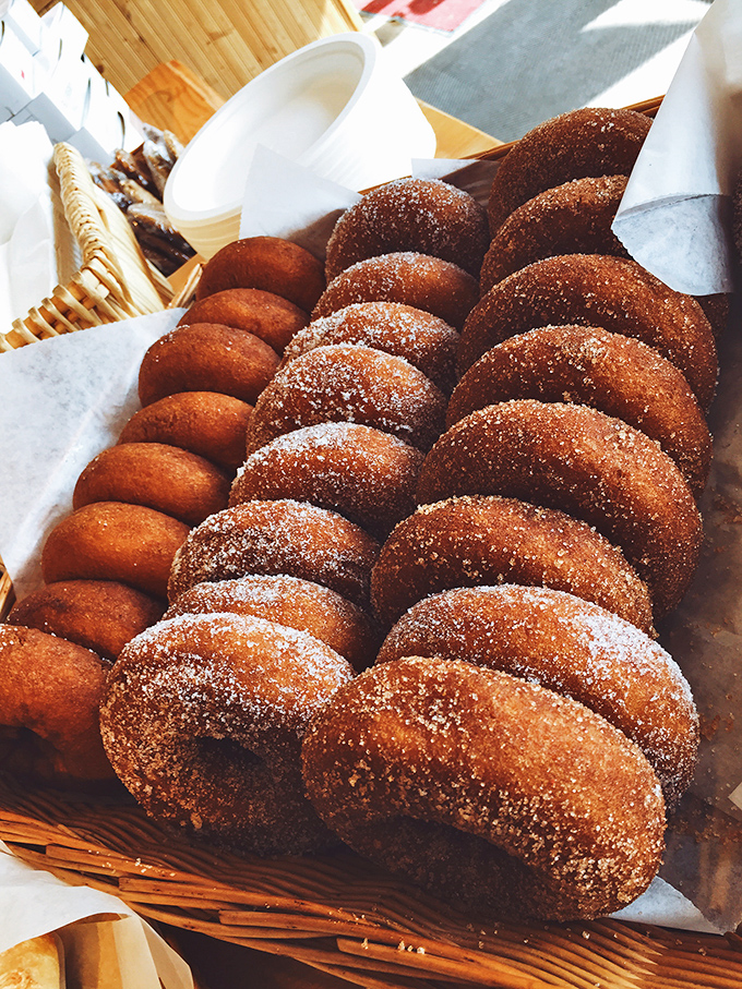 Sweet temptations: Cinnamon-sugar donuts that would make your grandmother jealous line up for their moment in the spotlight.