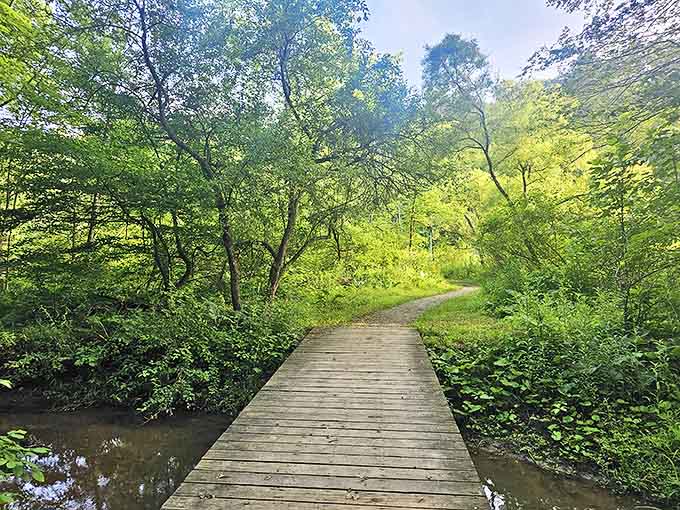 This elegant footbridge arches over the landscape, connecting trails while providing a perfect vantage point for taking in the scenery.