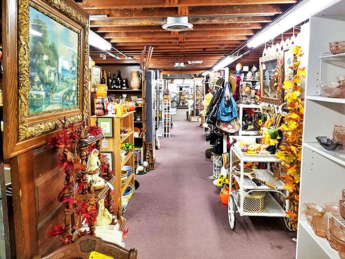 Every aisle tells a different story &ndash; this corridor of curiosities might lead to your next great find or simply an hour of delightful distraction.