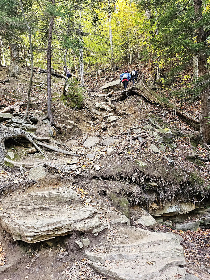 The trail presents its challenges with rocky terrain that seems to ask: "How badly do you want to see something beautiful?"