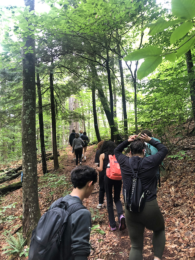 Hikers follow the leaf-strewn path into Vermont's embrace, where cell service fades and conversation flows as naturally as the nearby streams.