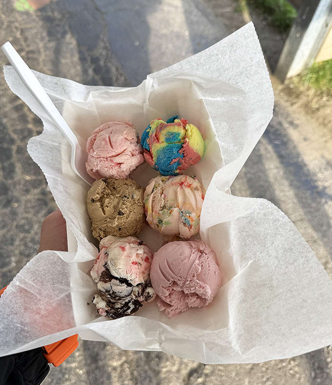 Why choose one flavor when you can have six? Sherman's ice cream flights let indecisive dessert lovers sample multiple frozen masterpieces simultaneously.