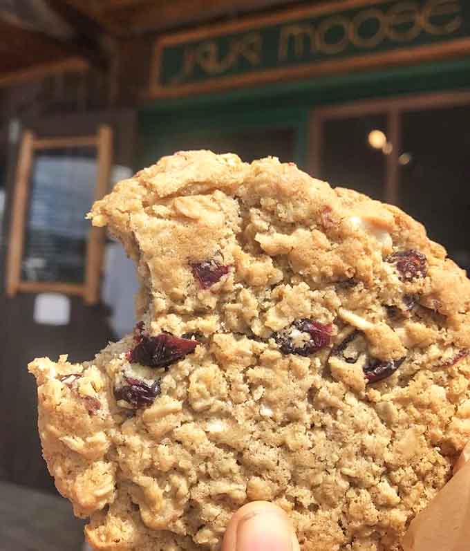 The perfect cookie texture captured in one shot: crispy edges meeting a chewy center that dreams are made of.