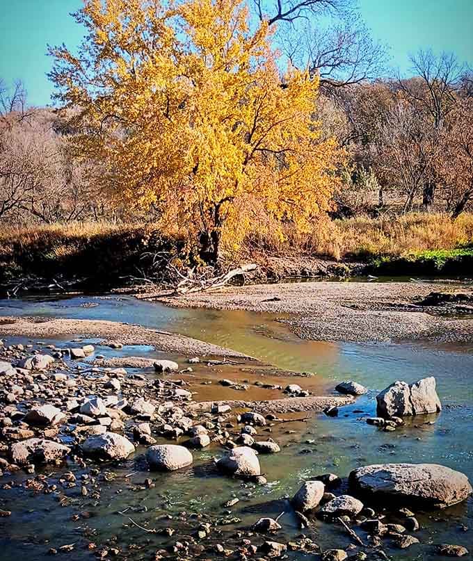 That rocky stream looks like the kind of place where kids find interesting stones and adults find reasons to sit quietly.