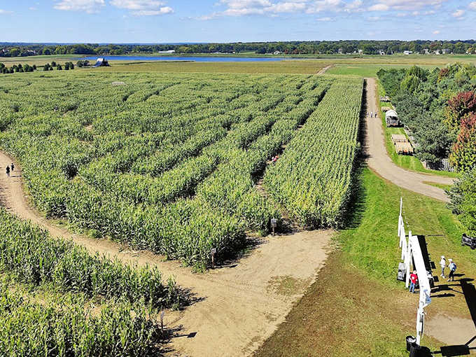 Aerial view reveals the true magnitude of America's agricultural artistry &ndash; making crop circles look like amateur hour.