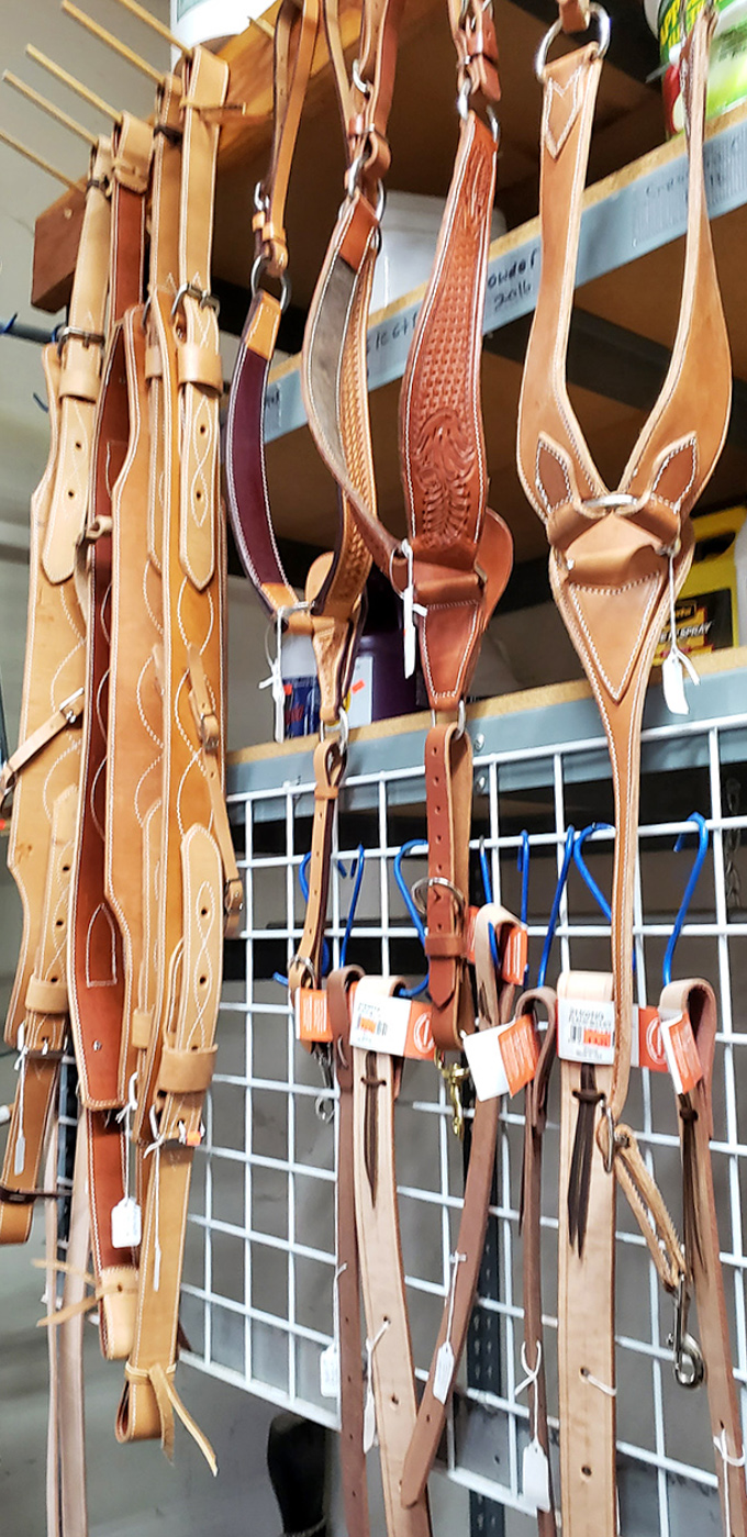 Intricately tooled leather bridles and tack hang in patient rows, their handcrafted details showcasing an artistry that predates mass production.