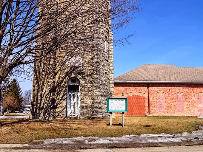 The Lena Water Tower watches over the community like a patient guardian that's seen everything and isn't impressed by modern drama.