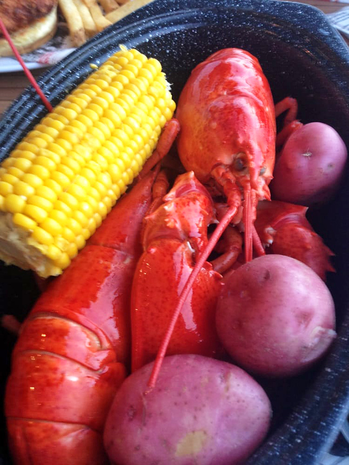 The star of the show: a bright red Maine lobster served with corn and potatoes – simple perfection that lets the seafood shine.