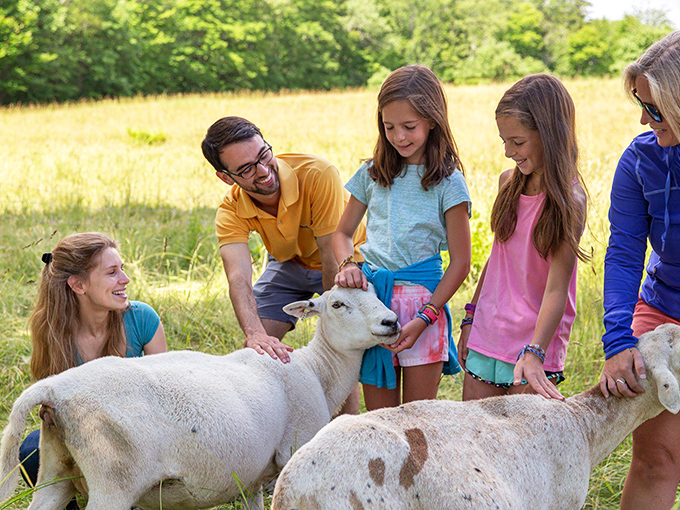 Meet the woolly residents who call the lodge grounds home &ndash; farm experiences that delight visitors of all ages.
